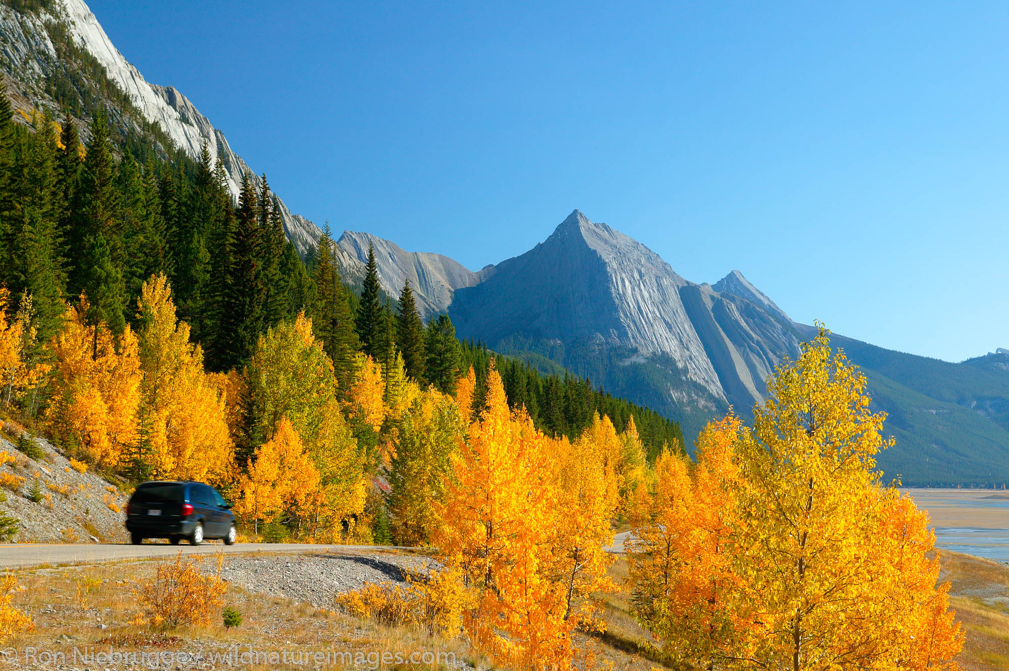 Jasper National Park, Canada | Photos by Ron Niebrugge