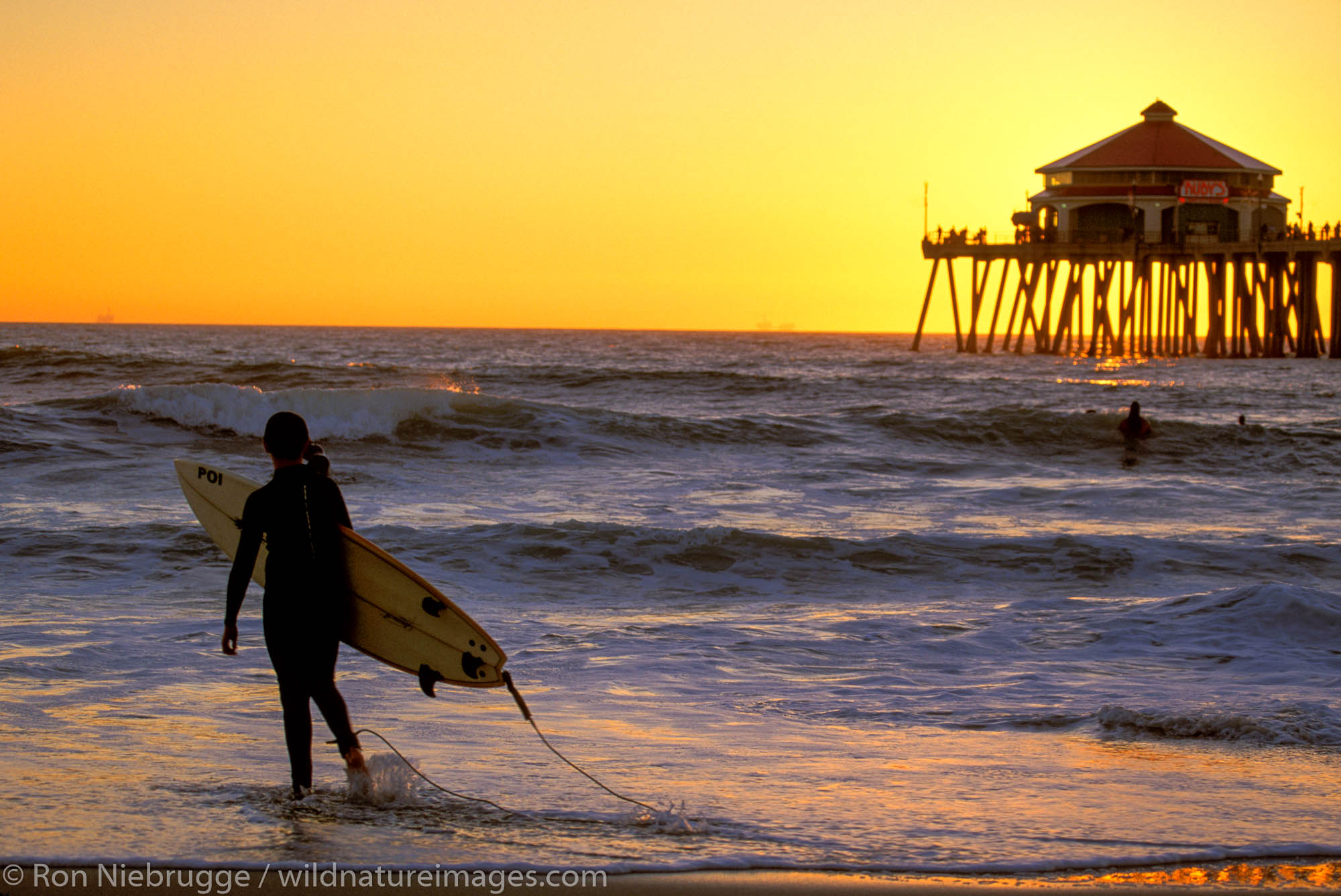 Surfing at Sunset | California | Photos by Ron Niebrugge